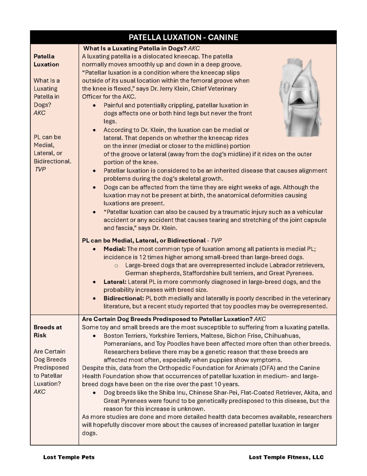 Canine Patella Luxation & Breeds at Risk - LOST TEMPLE PETS: Guides ...